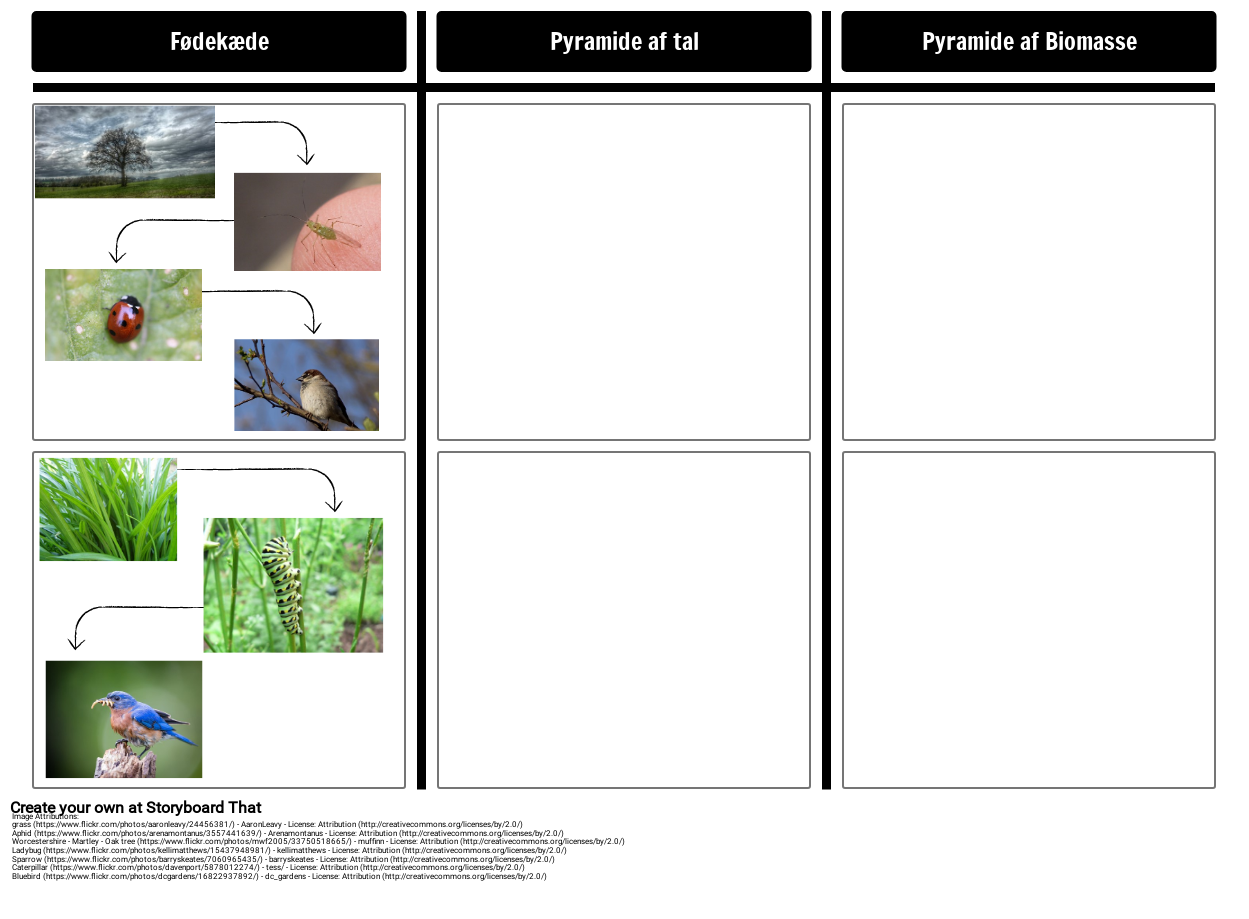 Pyramiderne Skabelon Storyboard af da-examples