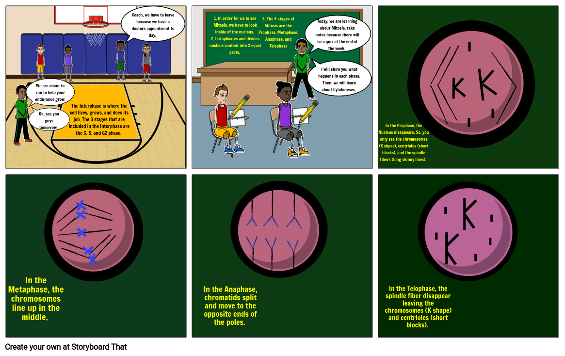 Cell Cycle 1 Storyboard by danceisfunandlife