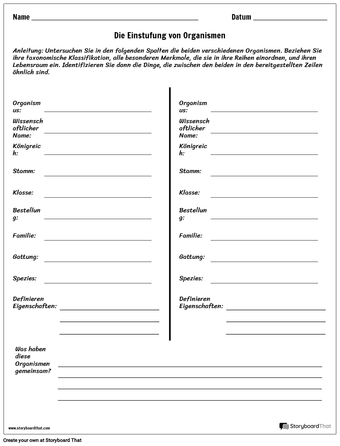 Taxonomischer Rang Storyboard Por De examples Taxonomischer Rang Storyboard Por De examples
