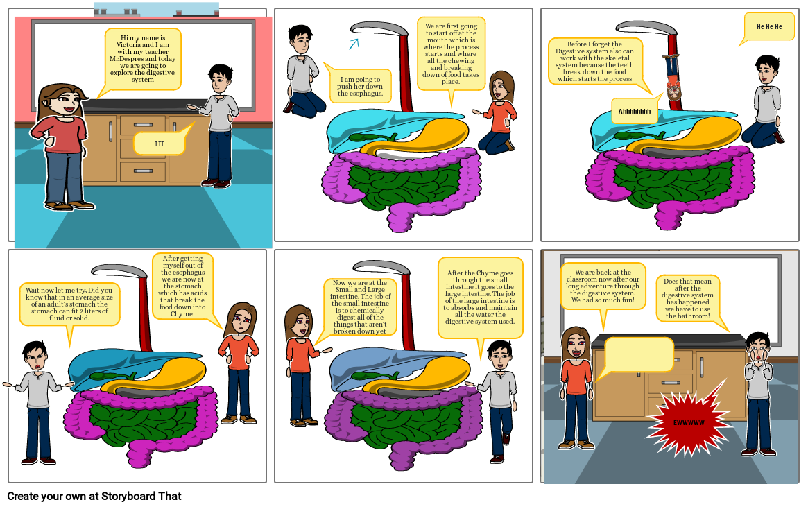 Digestive System Storyboard par dee82865