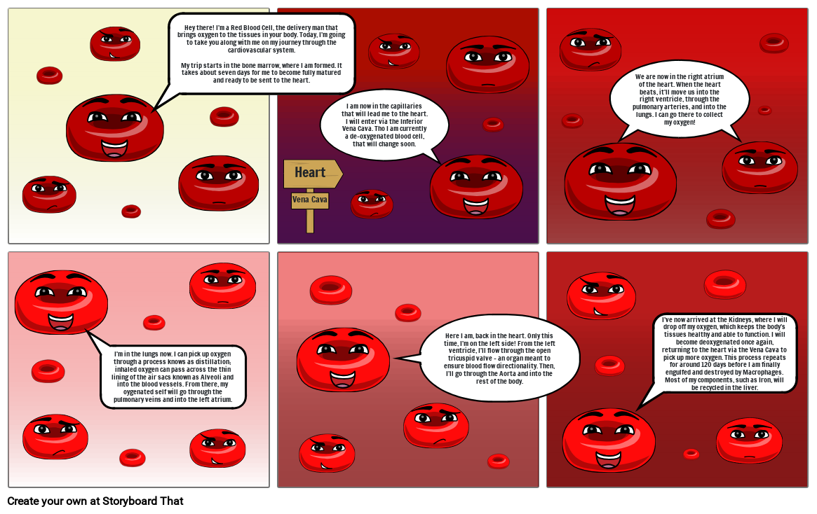 A Red Blood Cell's Journey Storyboard por e6dcd68f