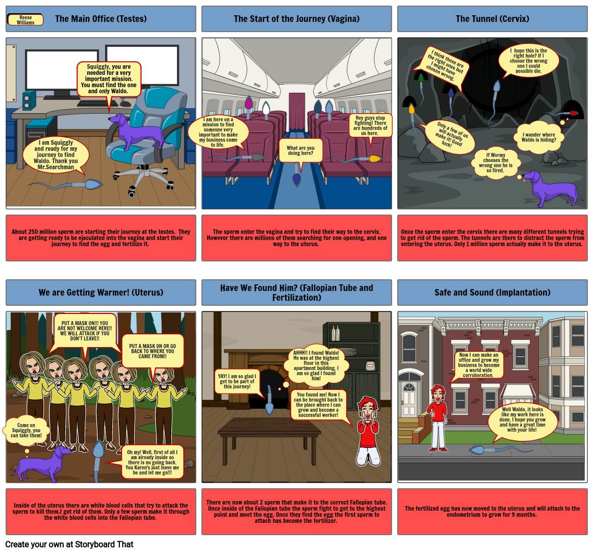Journey Of The Sperm Storyboard By E7d93ac5 Journey Of The Sperm Storyboard By E7d93ac5