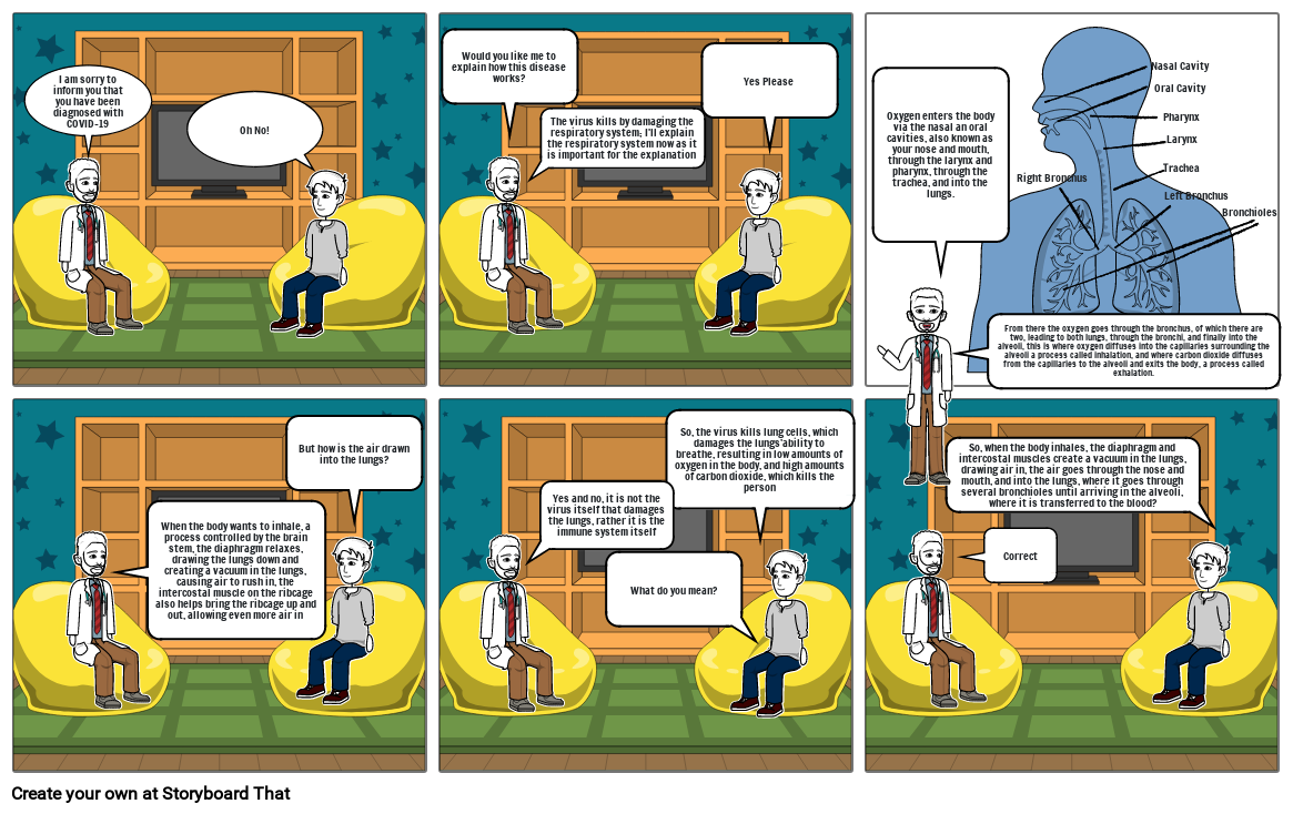 Respiratory System Storyboard by ed67018f