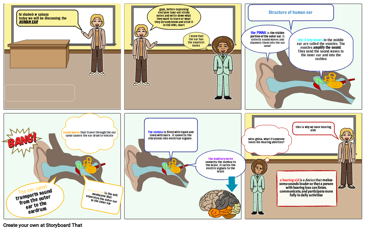 human ear Storyboard por eebd373e