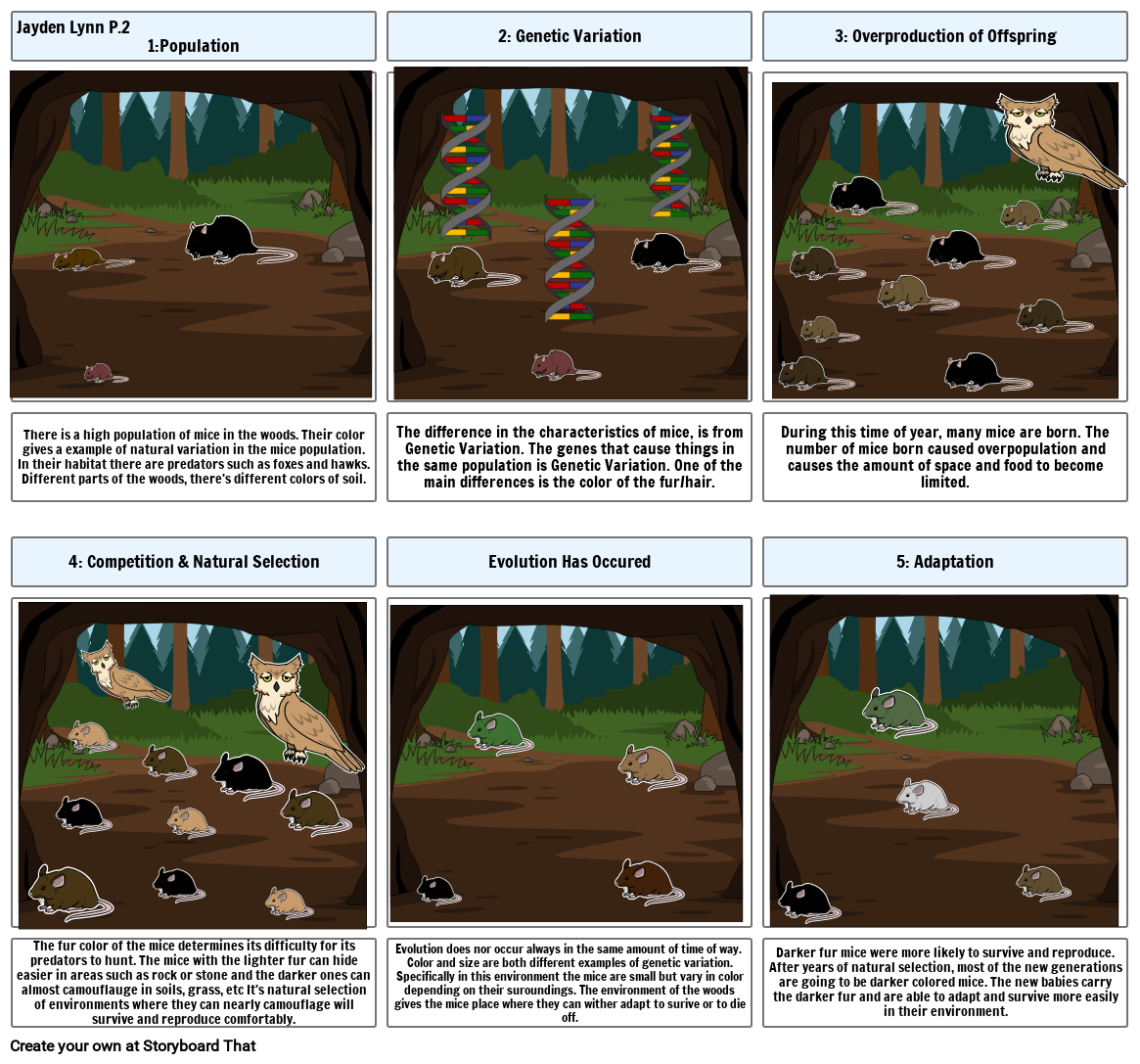 Mice Evolution Storyboard by eff7be7e