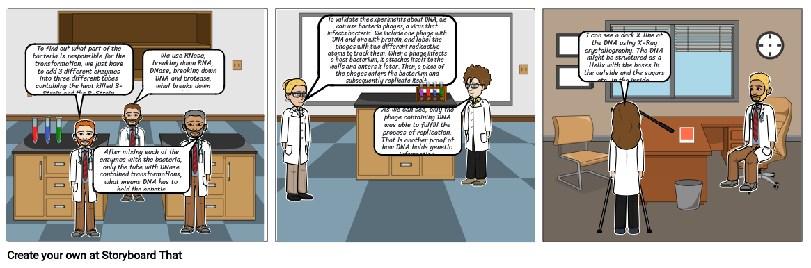 genetics 2 Storyboard by ek22074