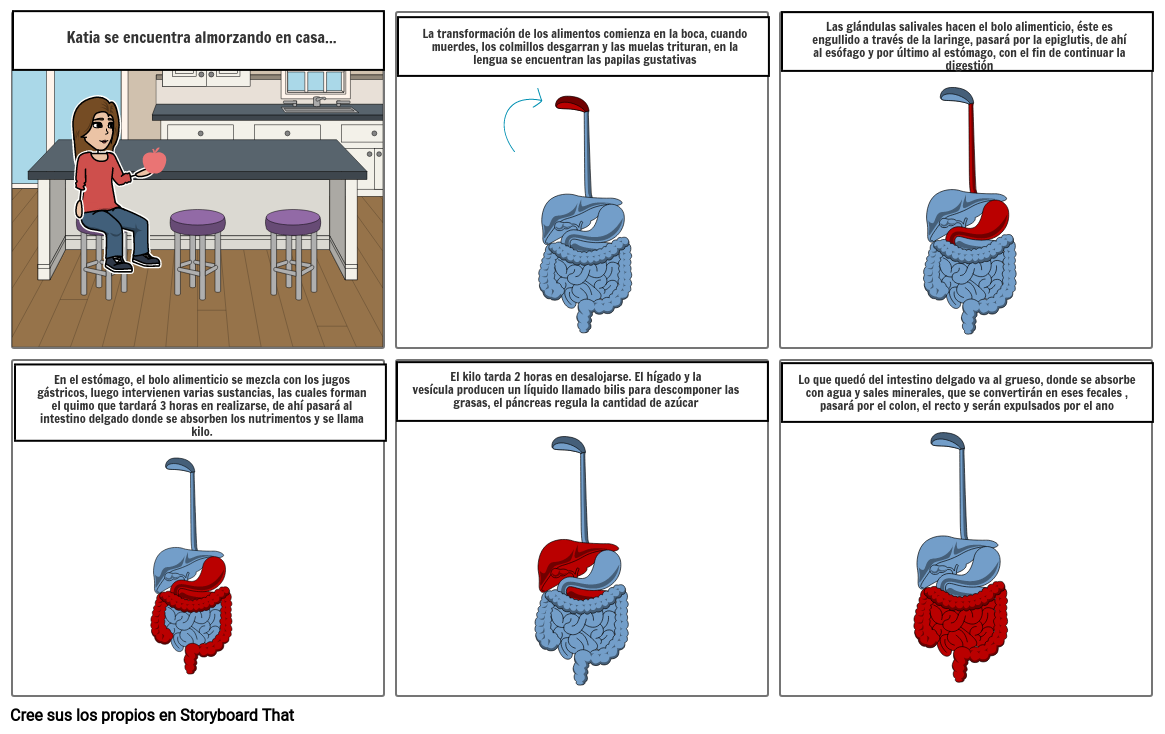 Proceso de digestión Storyboard by elgatonippy