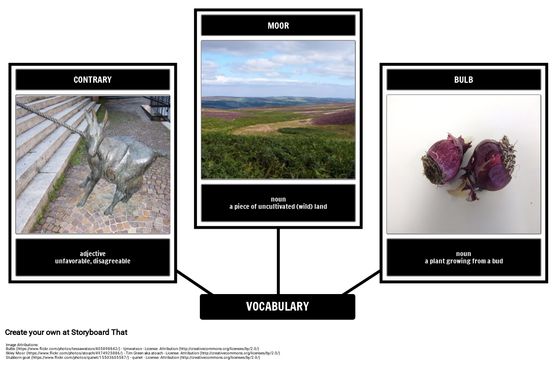The Secret Garden Vocabulary Spider Map Storyboard