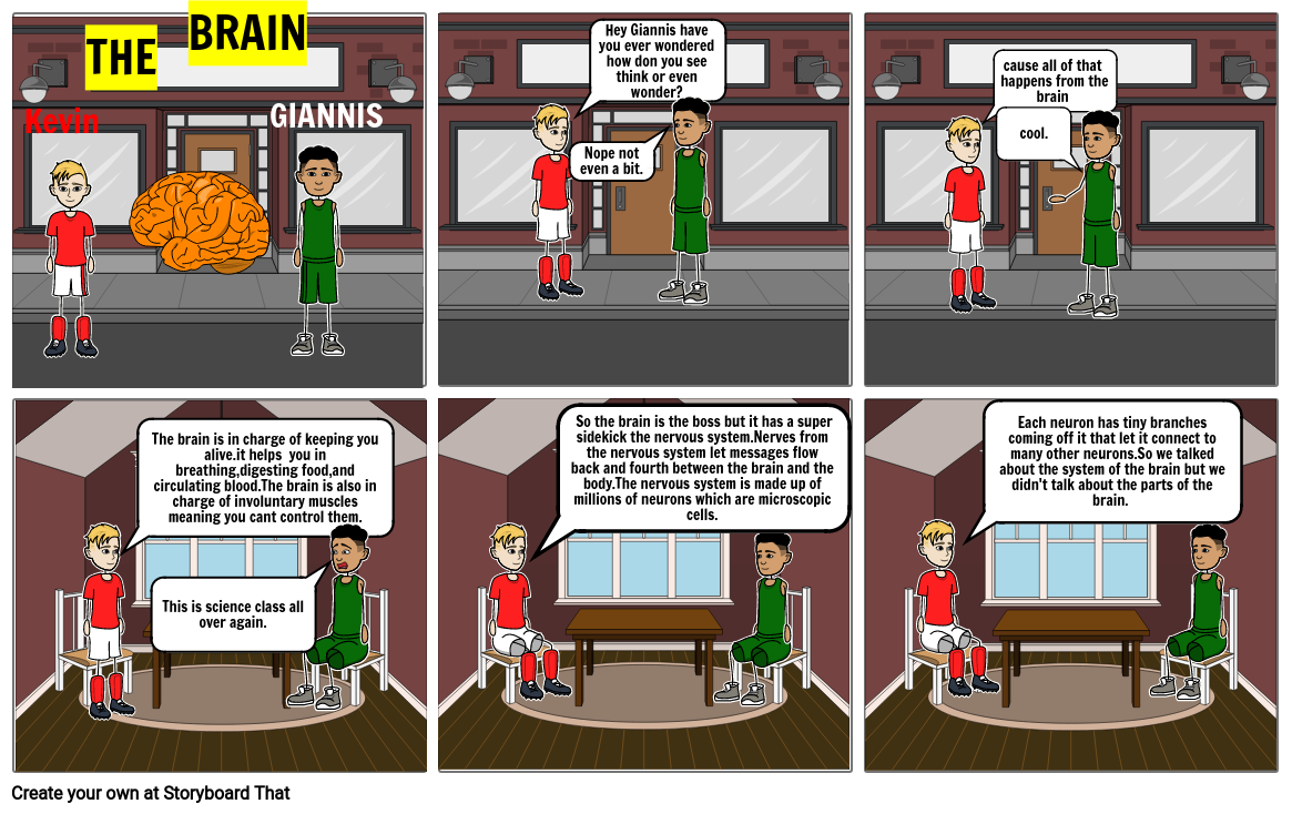 The Brain Storyboard By Emmanueliscool The Brain Storyboard By Emmanueliscool