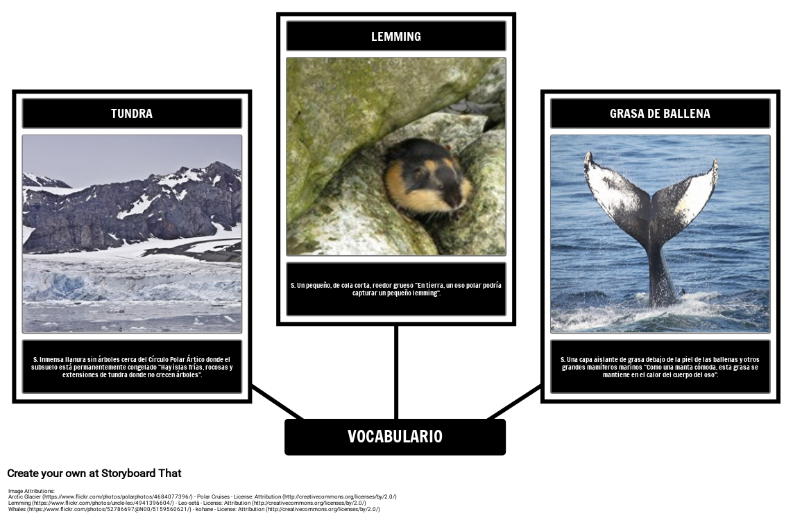 ¿Dónde Viven los Osos Polares? Vocabulario Storyboard