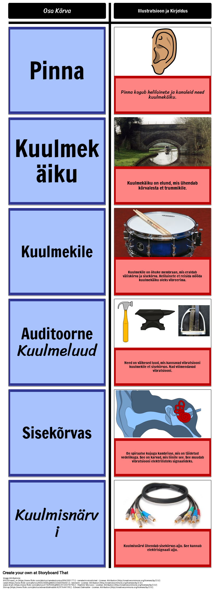 Parts Kõrva Storyboard por et-examples