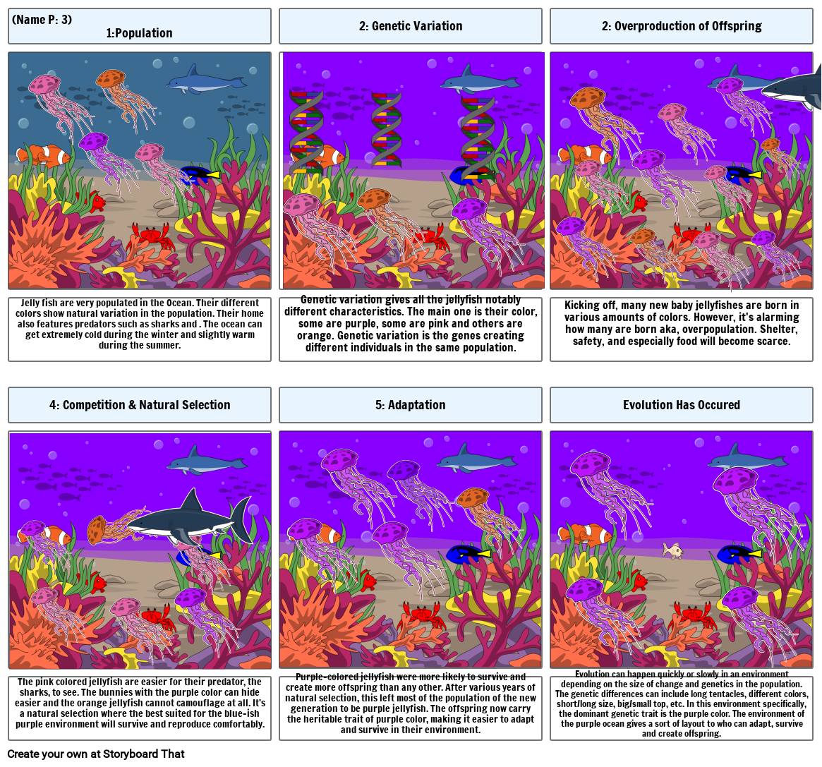 Evolution thingy Storyboard by f246bc89