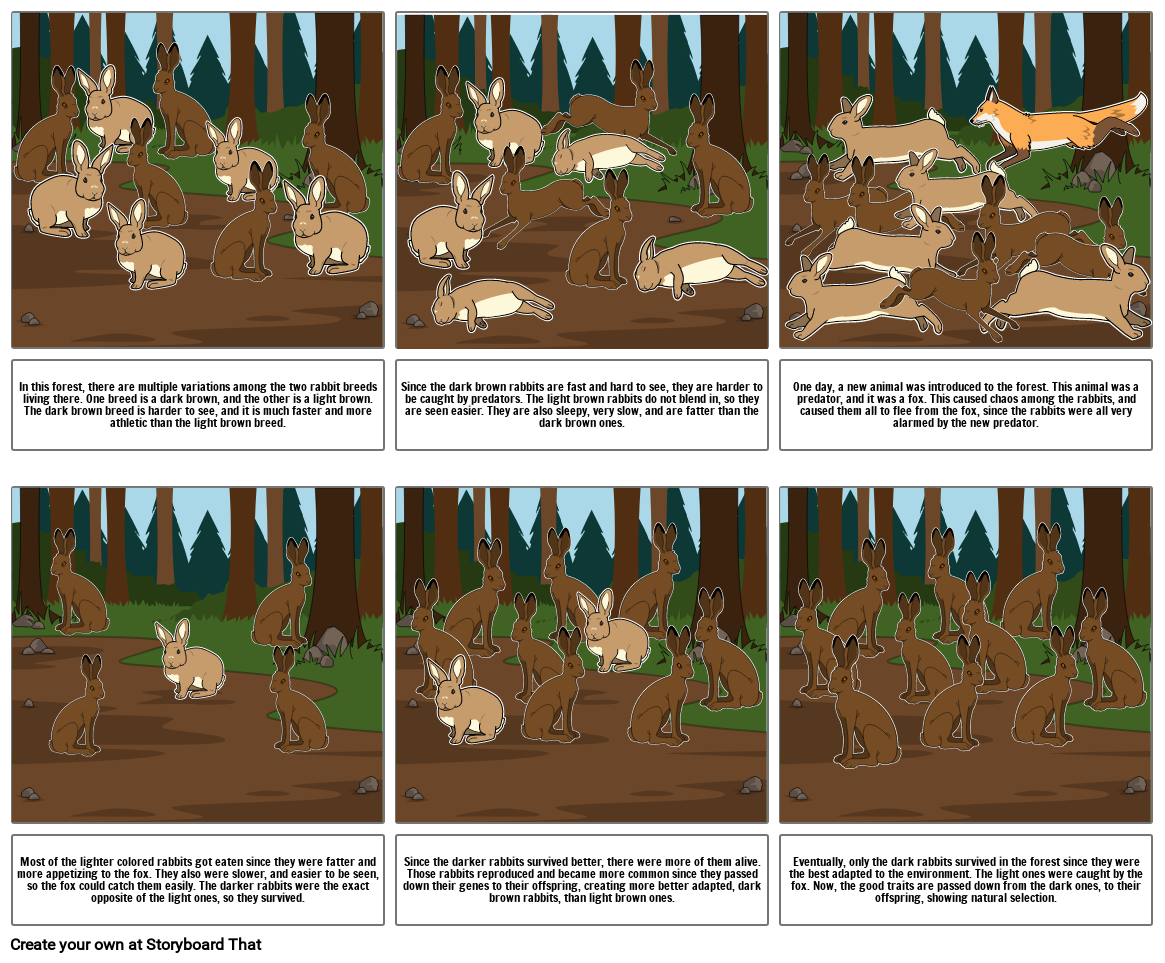 Rabbit Natural Selection Storyboard by f4141269