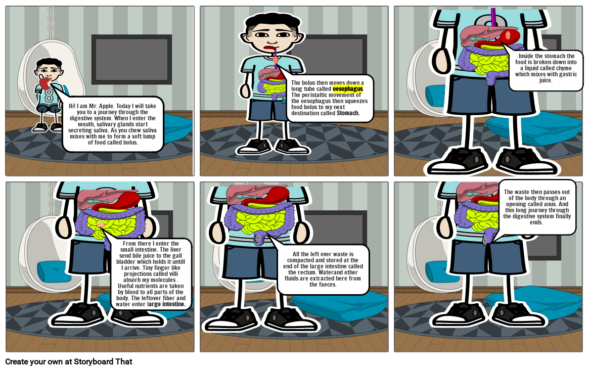 digestive system Storyboard por f6f21e0b