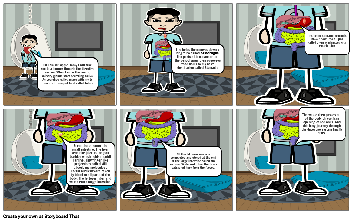 digestive system Storyboard by f6f21e0b