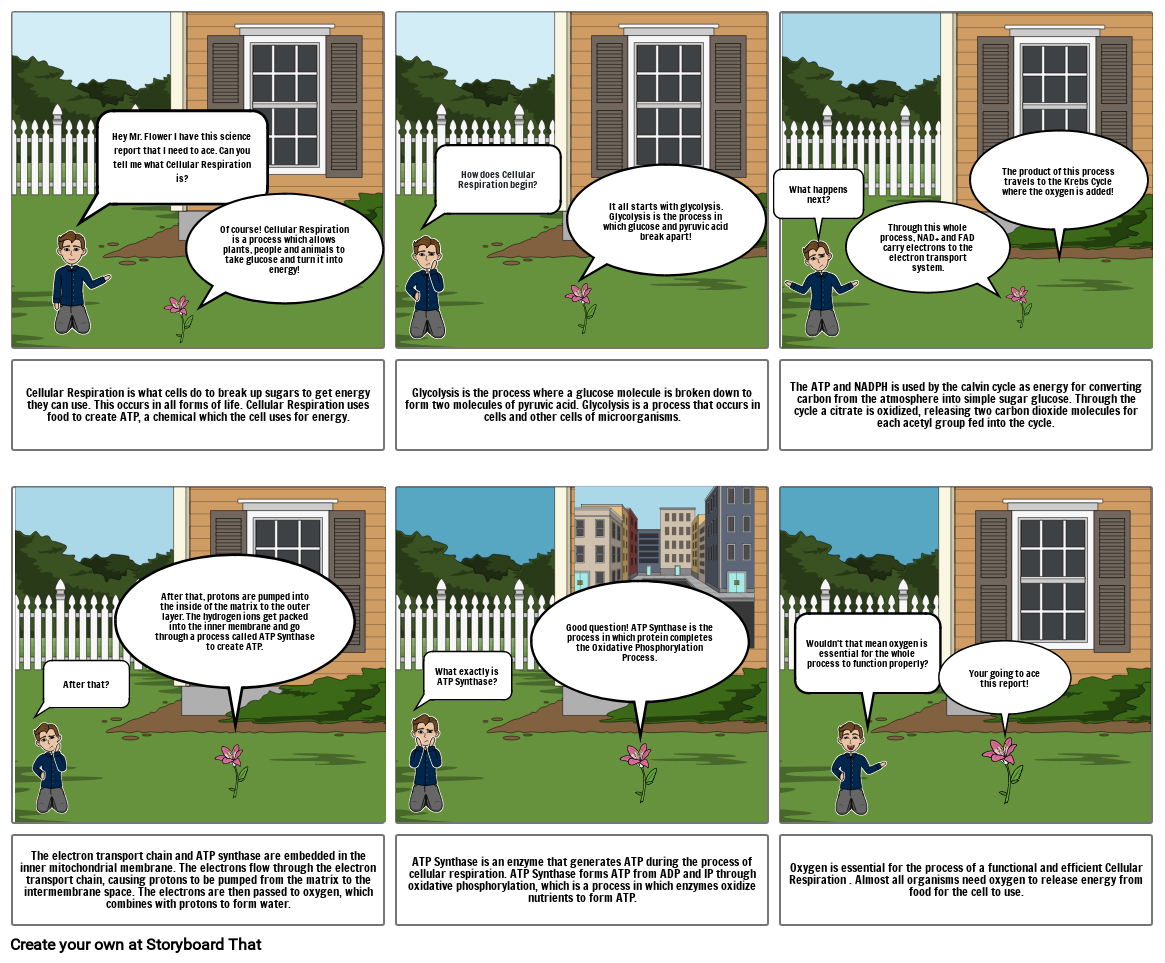 Photosynthesis Storyboard Por F990b18a Photosynthesis Storyboard Por F990b18a