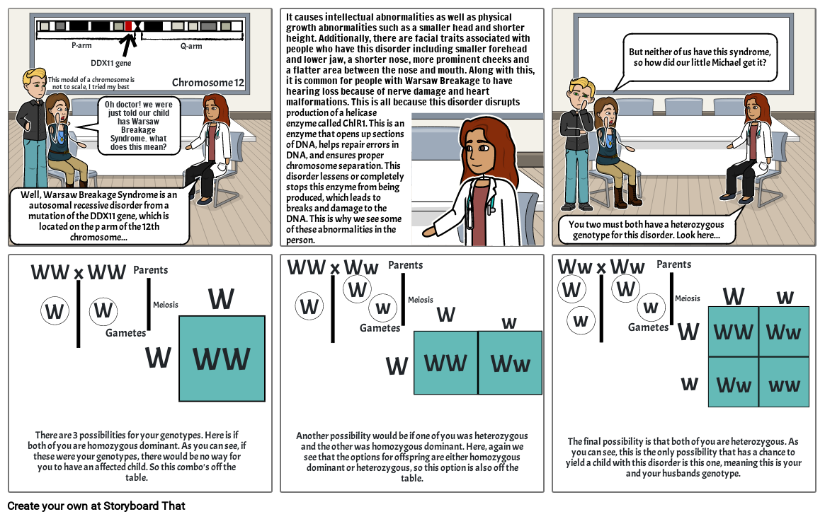 Genetics Storyboard by fabc11fb