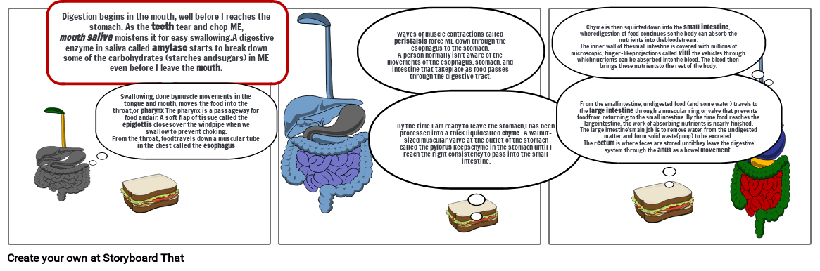 FOOD INTAKE JOURNEY Storyboard by fdcf7ae3