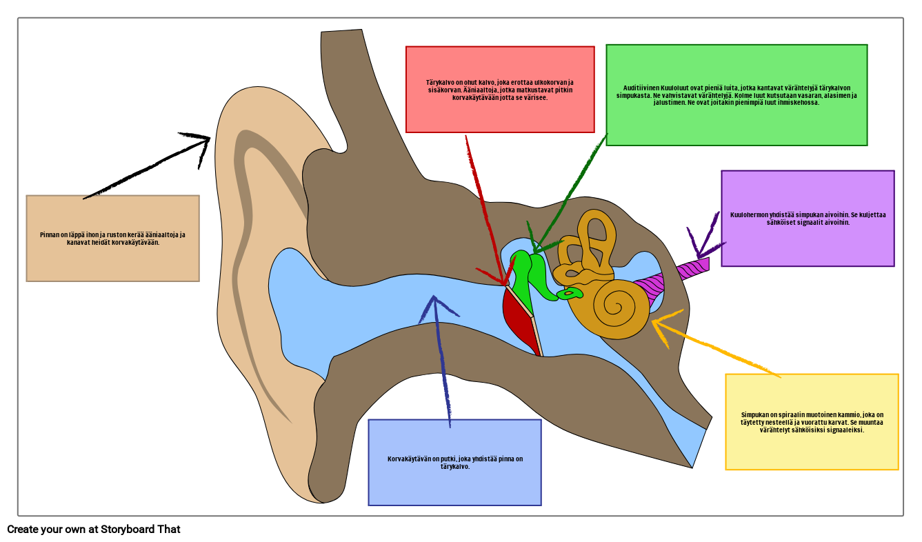 Rakenne Ear Storyboard per fi-examples