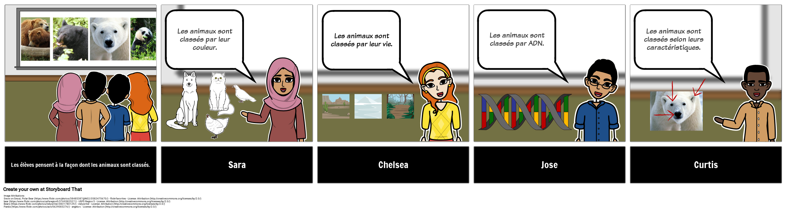 Discussion Storyboard - MS - Classification Storyboard