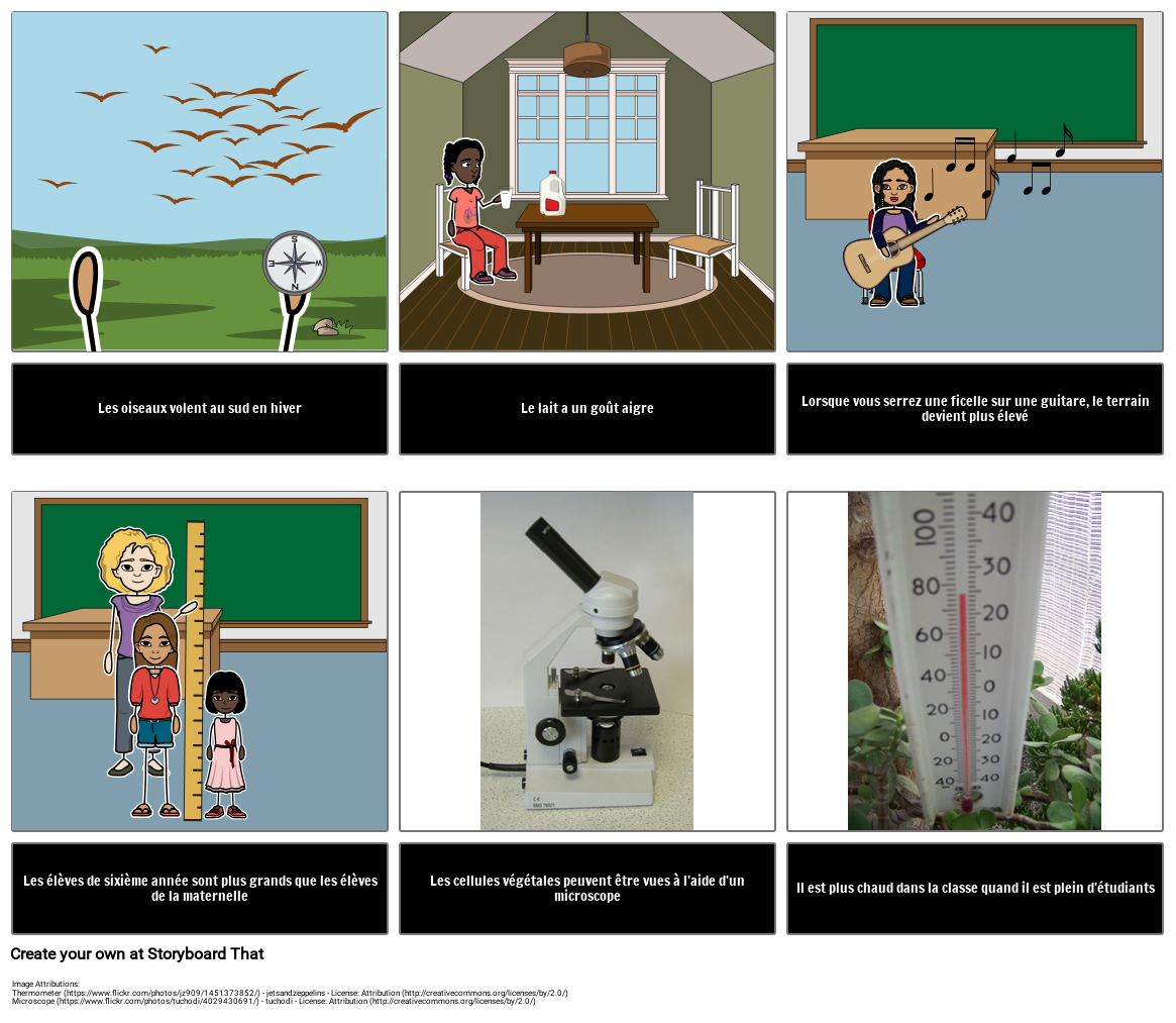 Étapes de la Méthode Scientifique | Enquête Scientifique