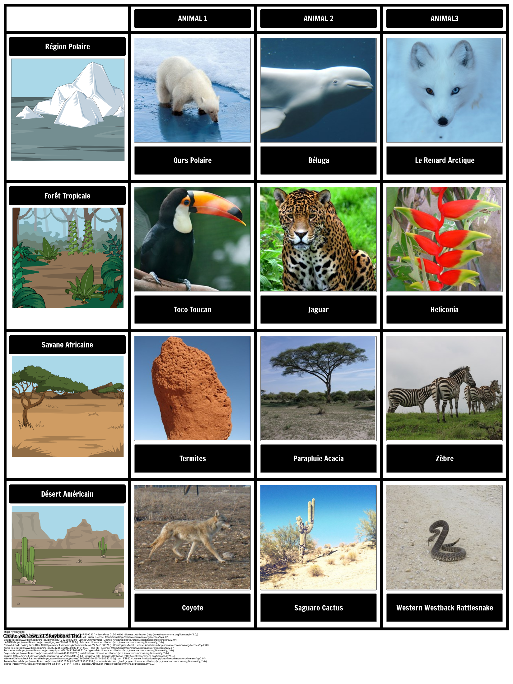 Activités D'adaptation Animale | Habitats et Adaptations des Animaux ...