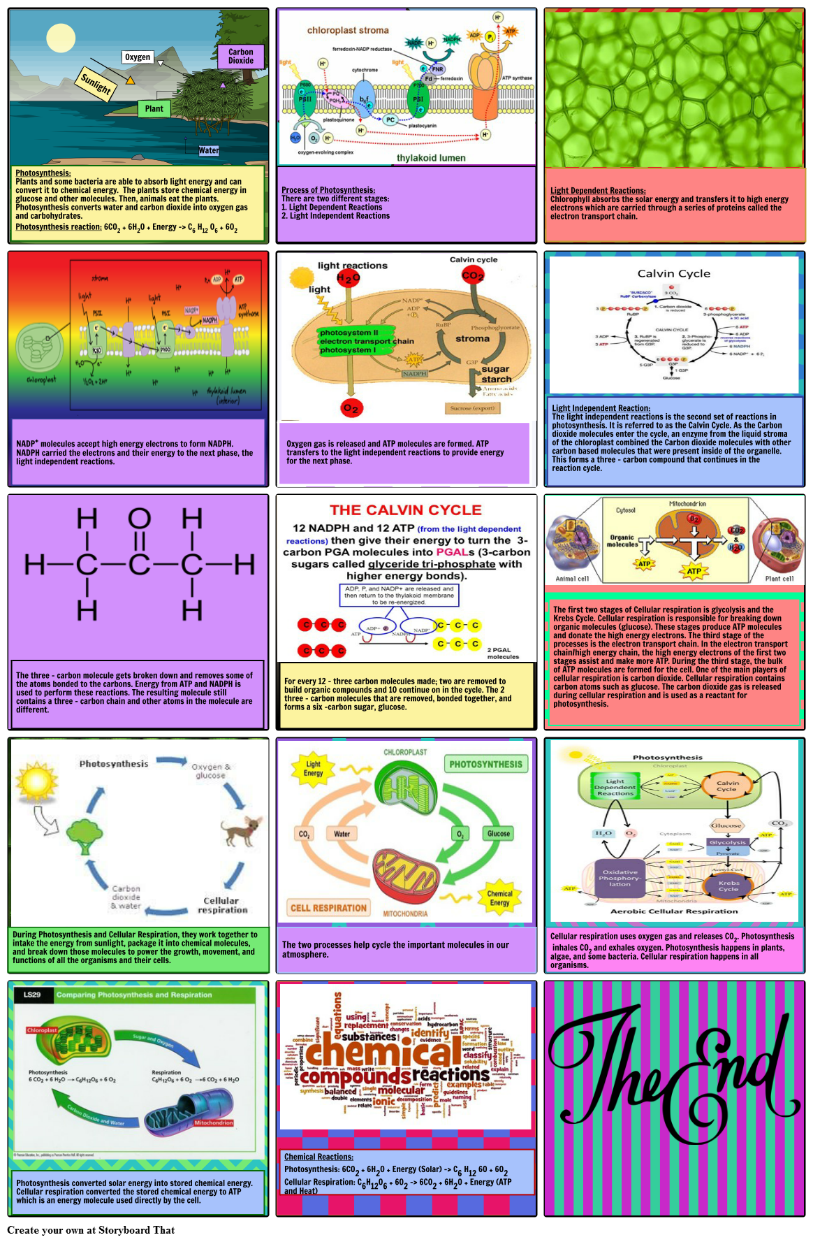 Carbon Atom in Photosynthesis and Cellular Respiration