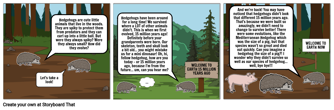 Hedgehog Evolution!!! Storyboard by helenfletcher