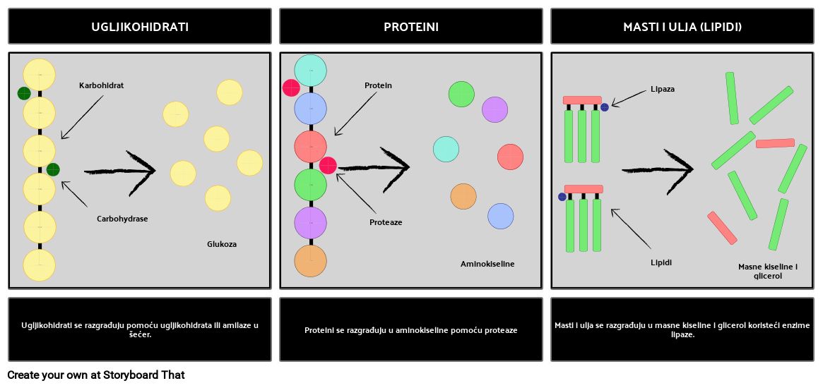 Digestija Storyboard por hr-examples