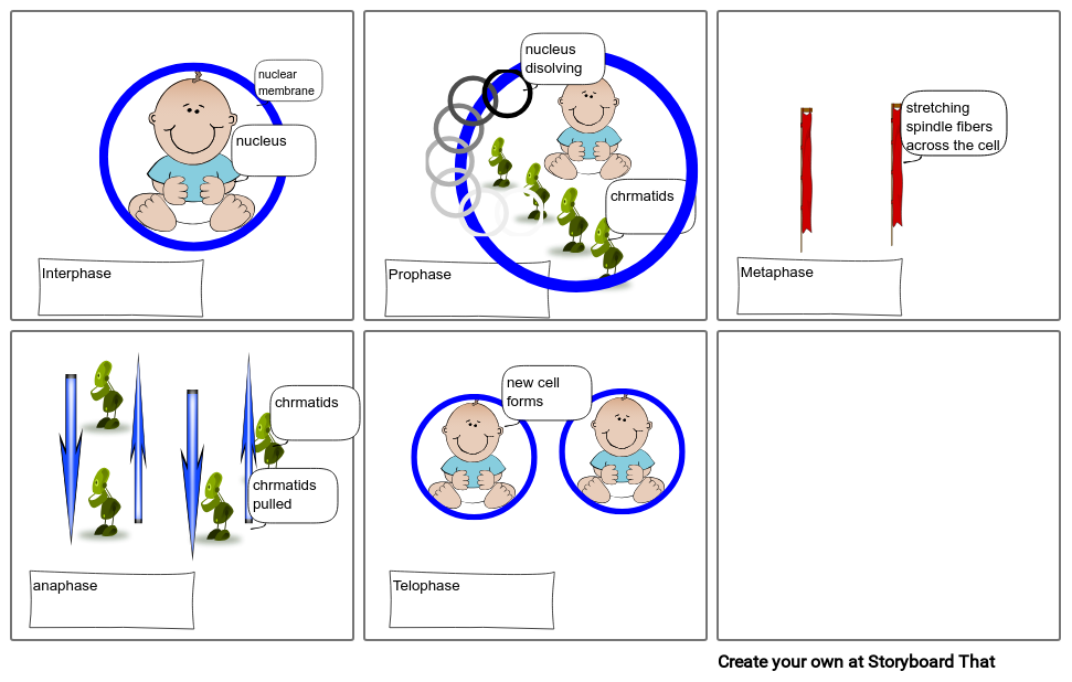 Mitosis Storyboard by hultgka