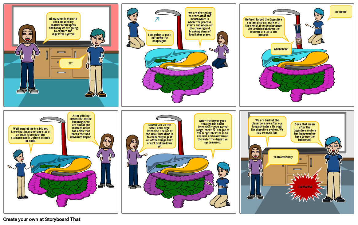 Digestive system story Storyboard by ishanisugar