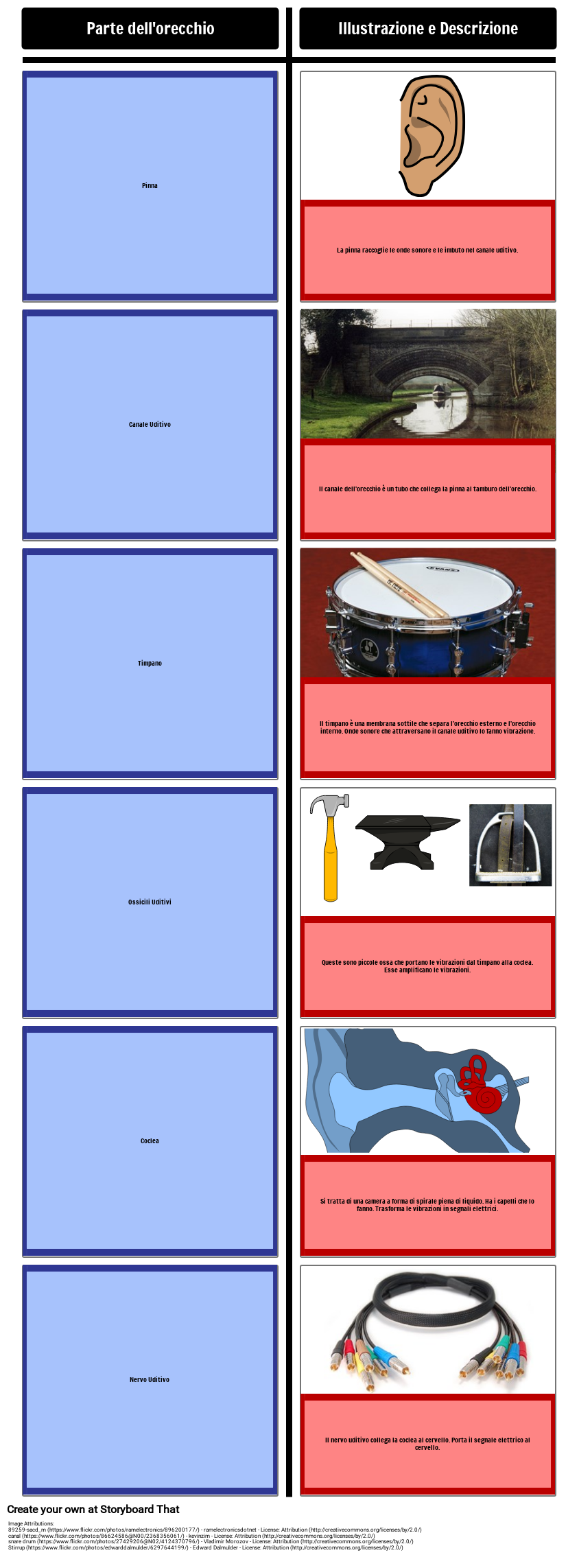 Parti Dell'orecchio Storyboard by it-examples