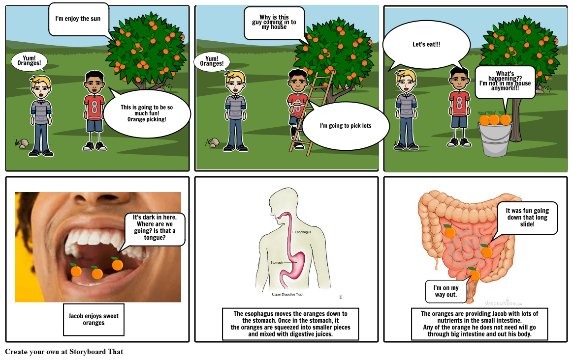 Mechanical Digestion Comic Strip at Sheila Sparks blog