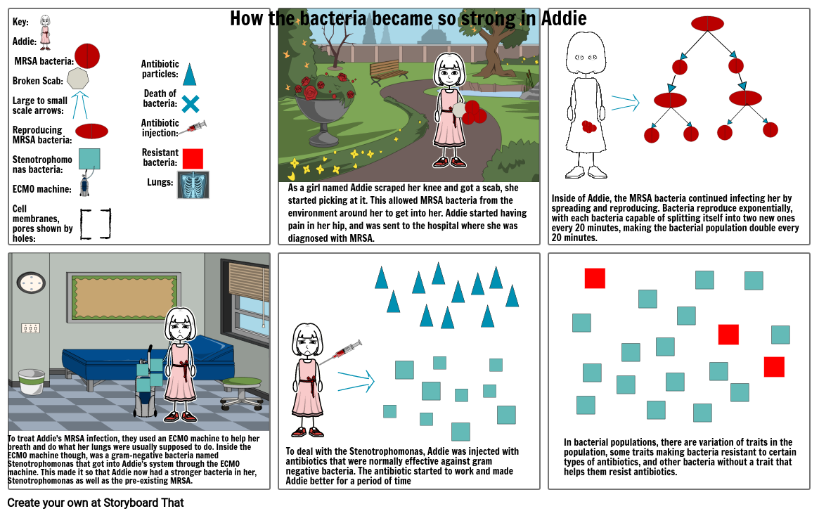 How the bacteria became so strong in Addie Storyboard