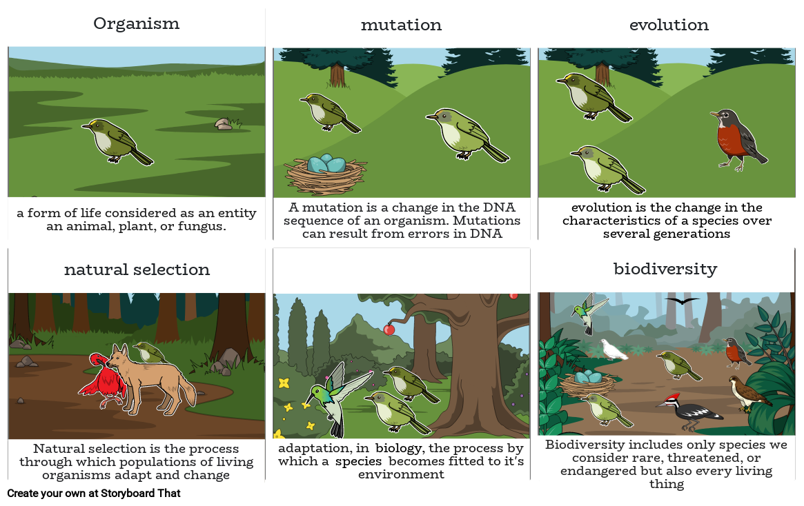 Definitions Storyboard By Keira 24 definitions-storyboard-by-keira-24