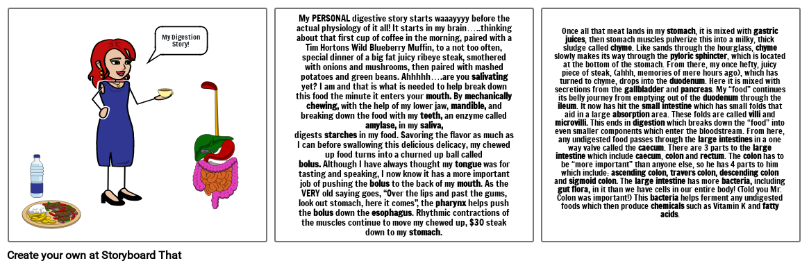 My Digestive Story Storyboard by keri73