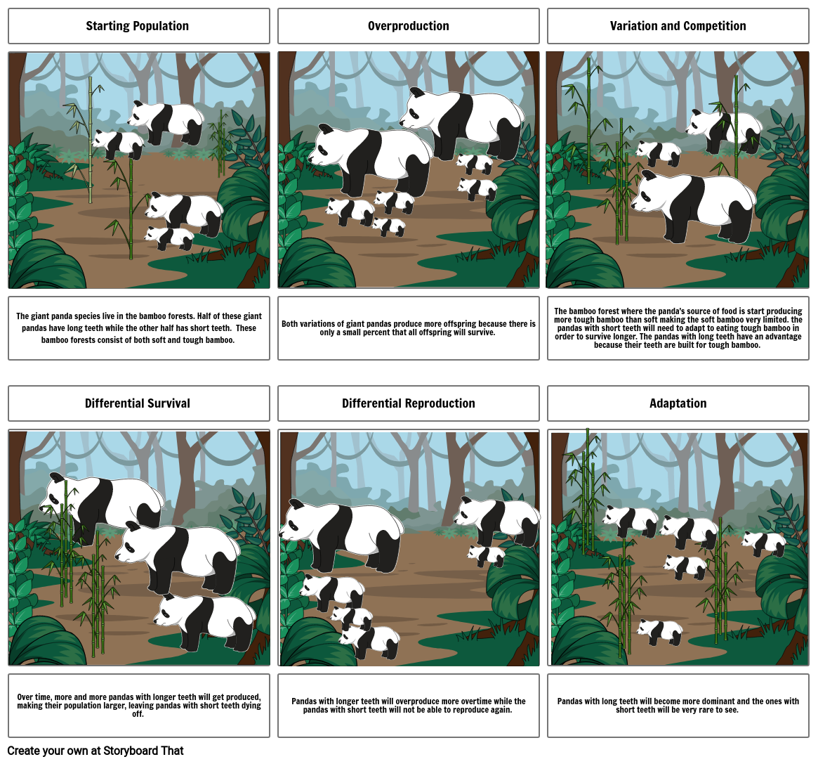 Natural Selection By: Kara Vilas Storyboard par kkim4776
