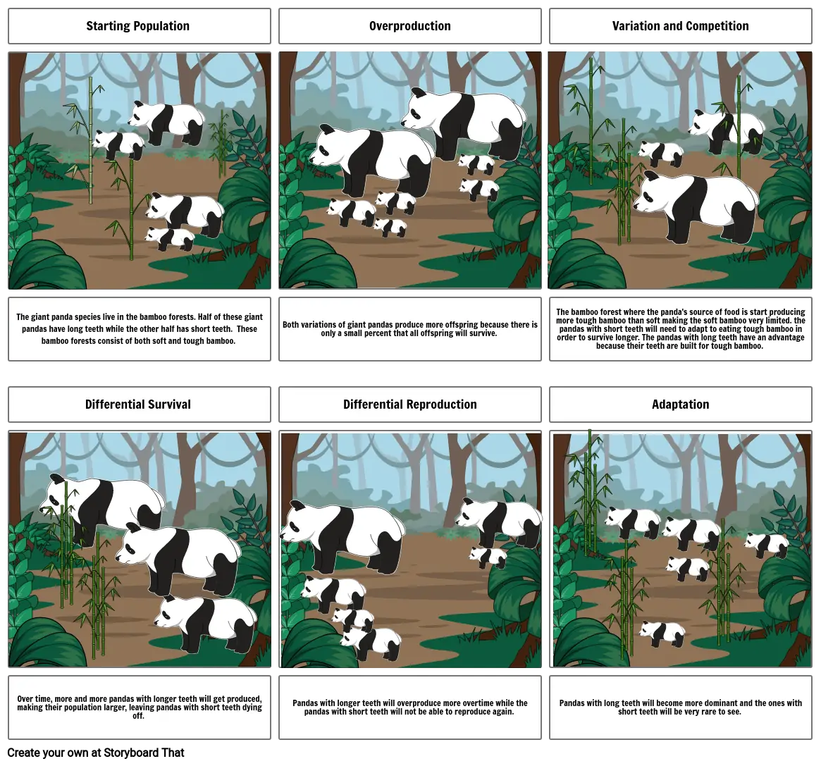 Natural Selection By: Kara Vilas Storyboard par kkim4776