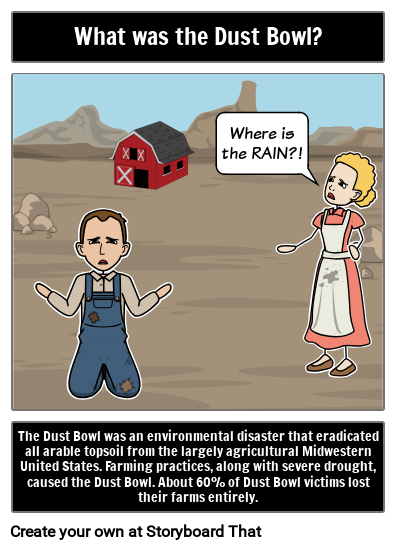 5 Ws What Storyboard by lauren