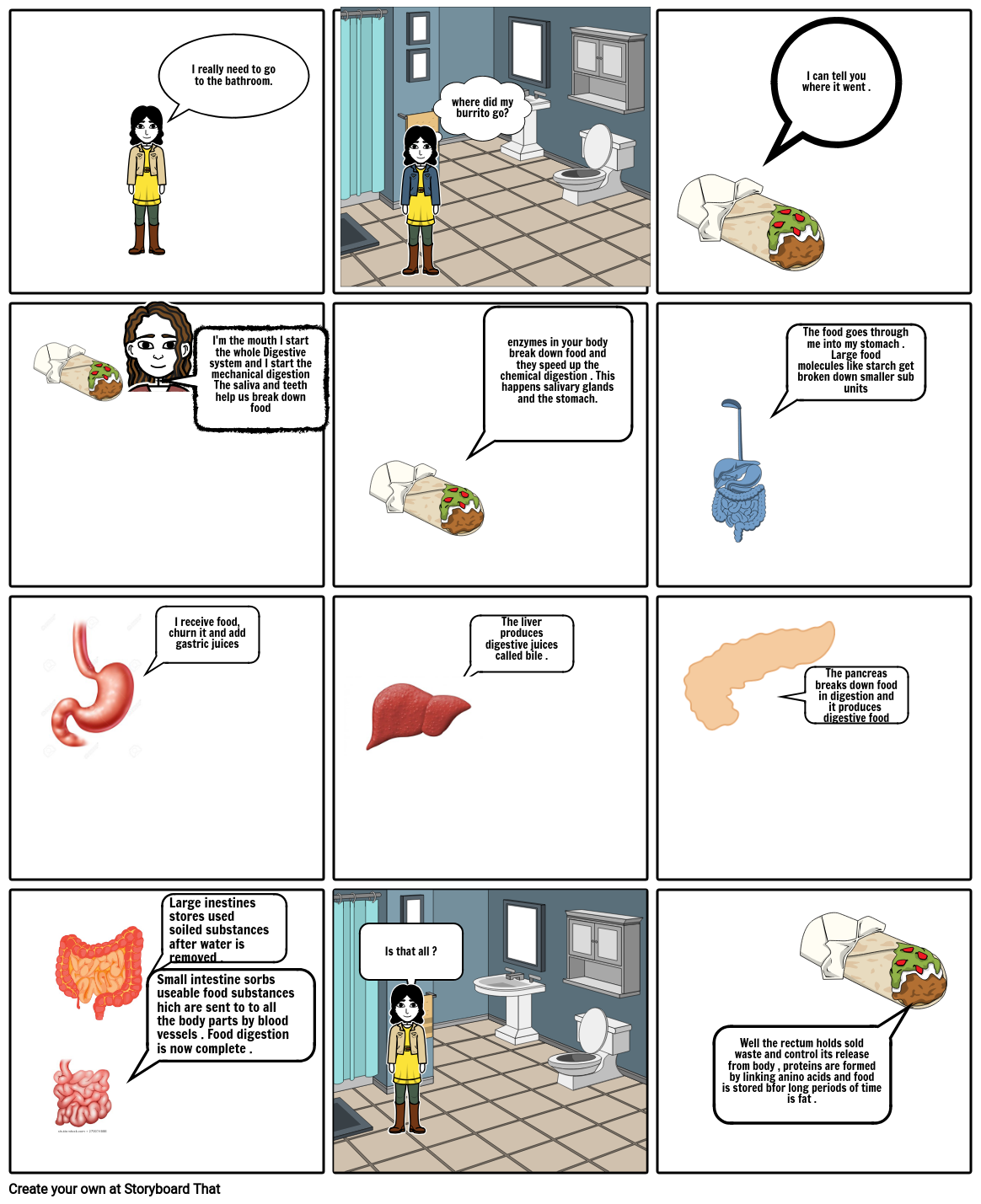 Digestive System Storyboard By Lcmahler