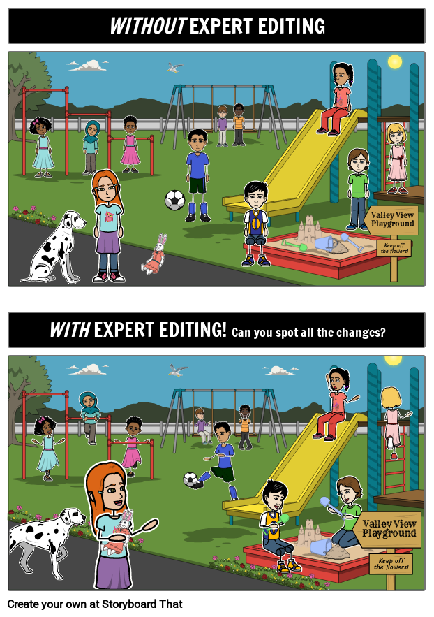 Expert Editing Spot the Changes Storyboard by liane