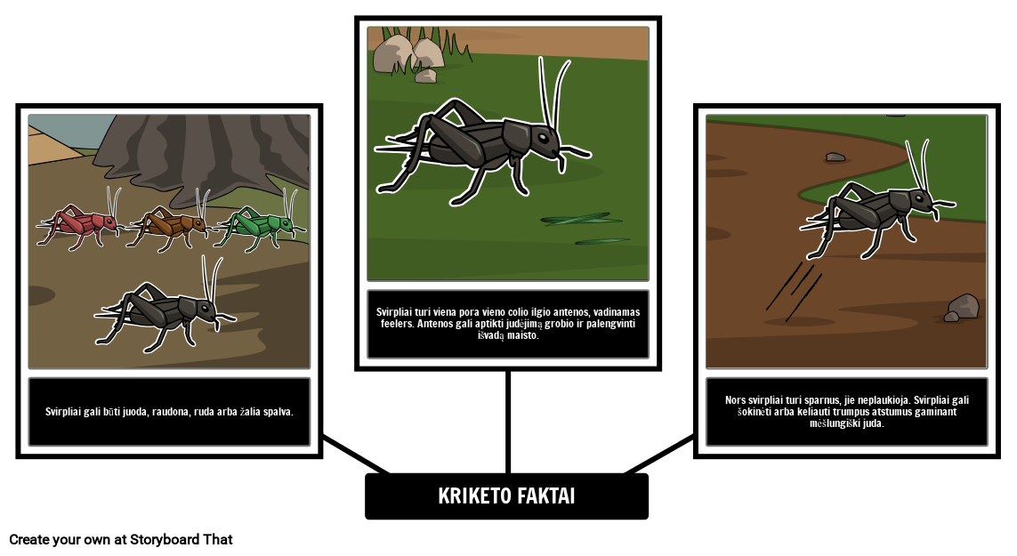 Į Times Square Kriketas - Kriketas Faktai Storyboard