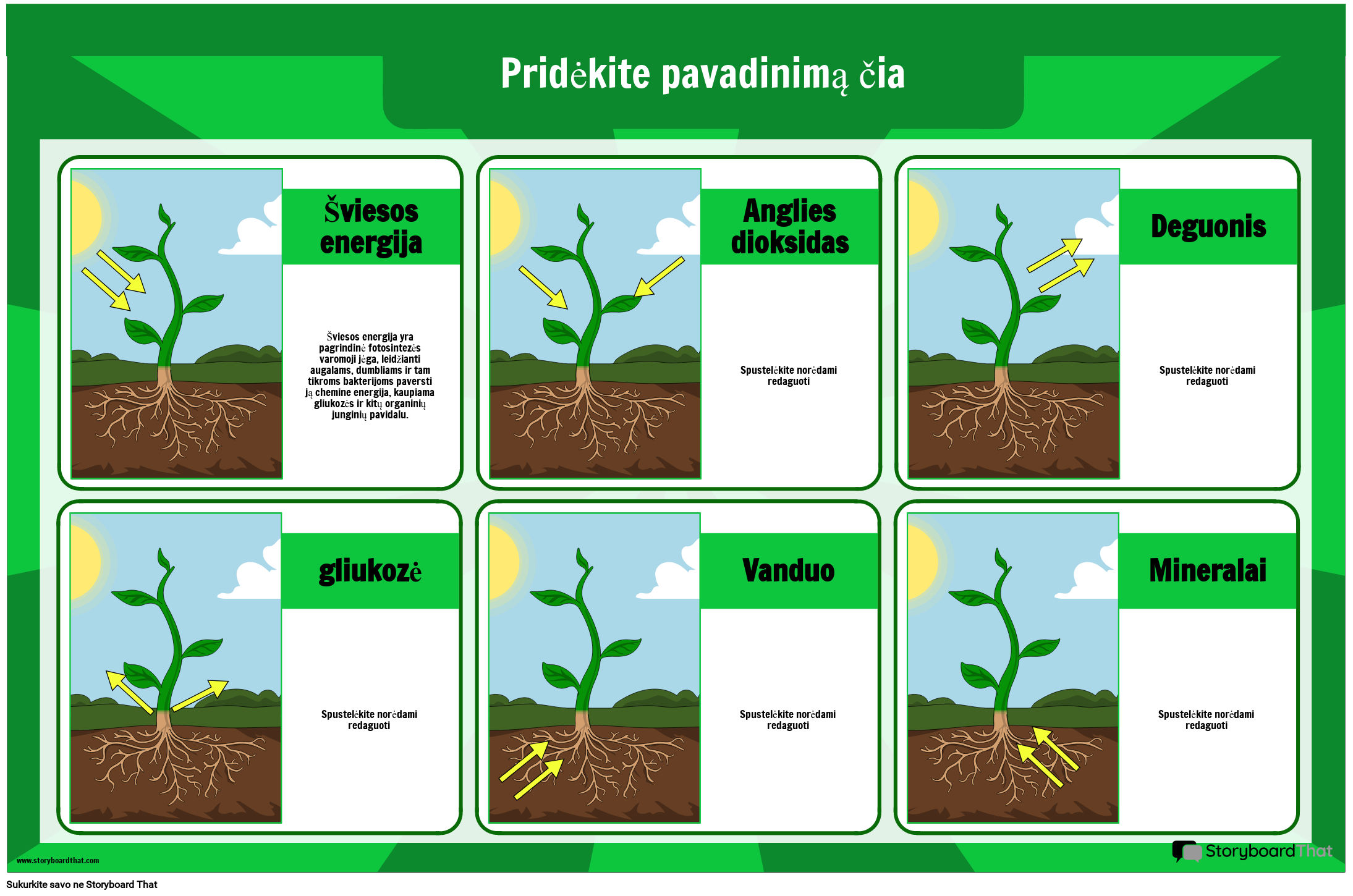 Fotosintezės Plakato Šablonas Storyboard by lt-examples