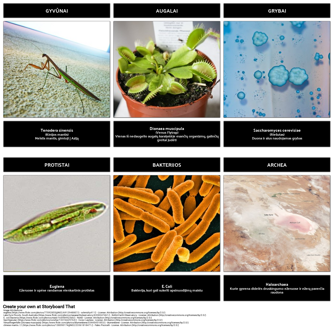 Kingdoms Storyboard Par Lt examples
