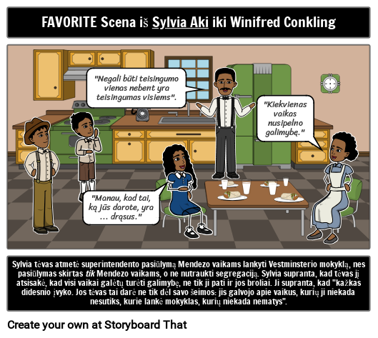 Sylvia ir Aki Citata Storyboard par lt-examples