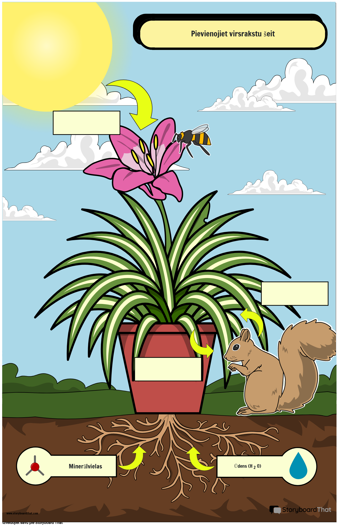 Fotosintēzes Diagrammas Plakāts Storyboard par lv-examples