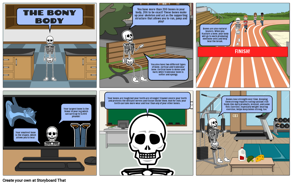 The Bony Body! Storyboard Door marissamullin