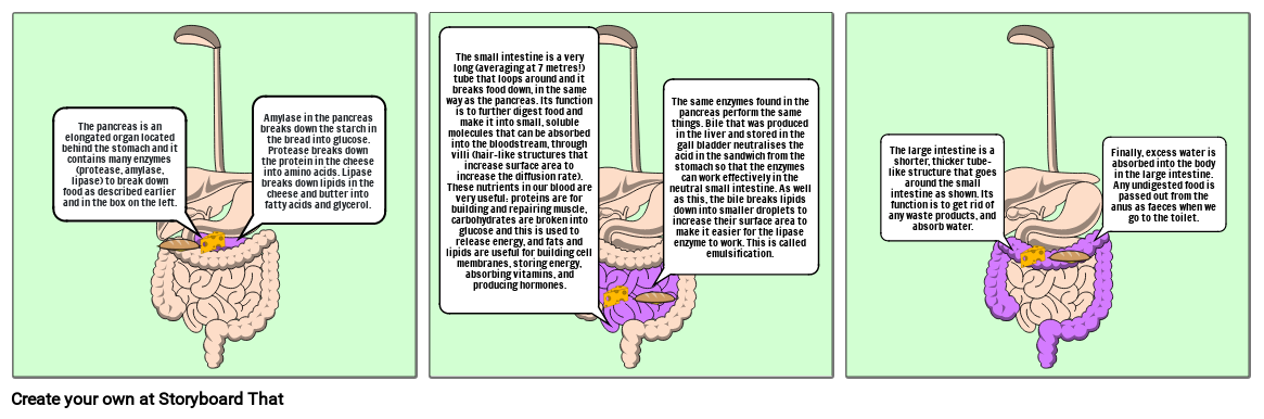 Journey of a Cheese Sandwich 2 Storyboard by marthafitzgerald