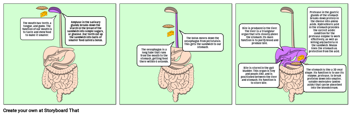 Journey of a Cheese Sandwich Storyboard por marthafitzgerald