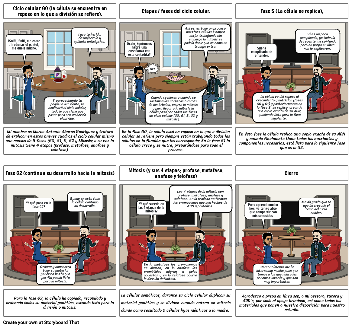 El ciclo celular Storyboard par mrakis